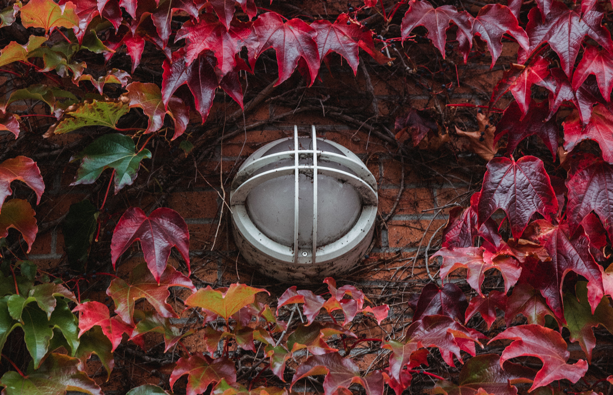 l'éclairage avec des luminaires hublots - VARAT